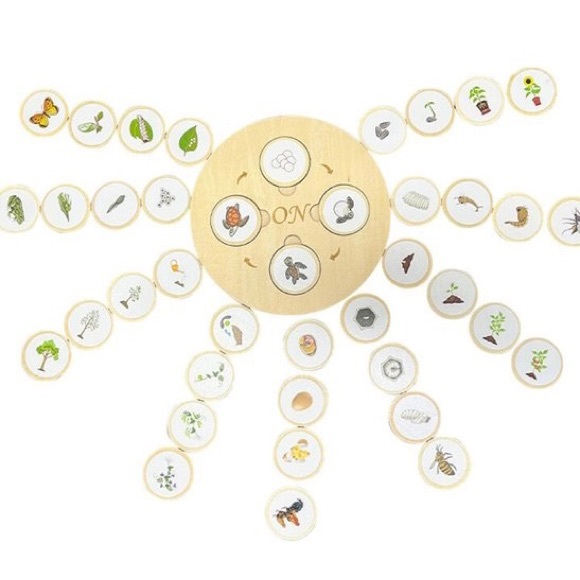 Toys | Wooden Life Cycle Puzzle Set Board Montessori Plants And Animals ...